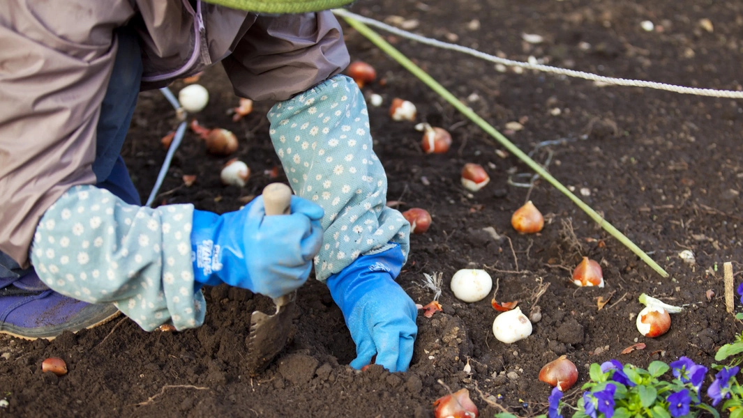 Planting bulbs made simple for dreamy spring blooms
