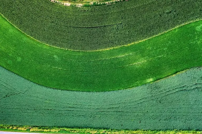 Why agritourism is booming in the rolling hills of the Midwest