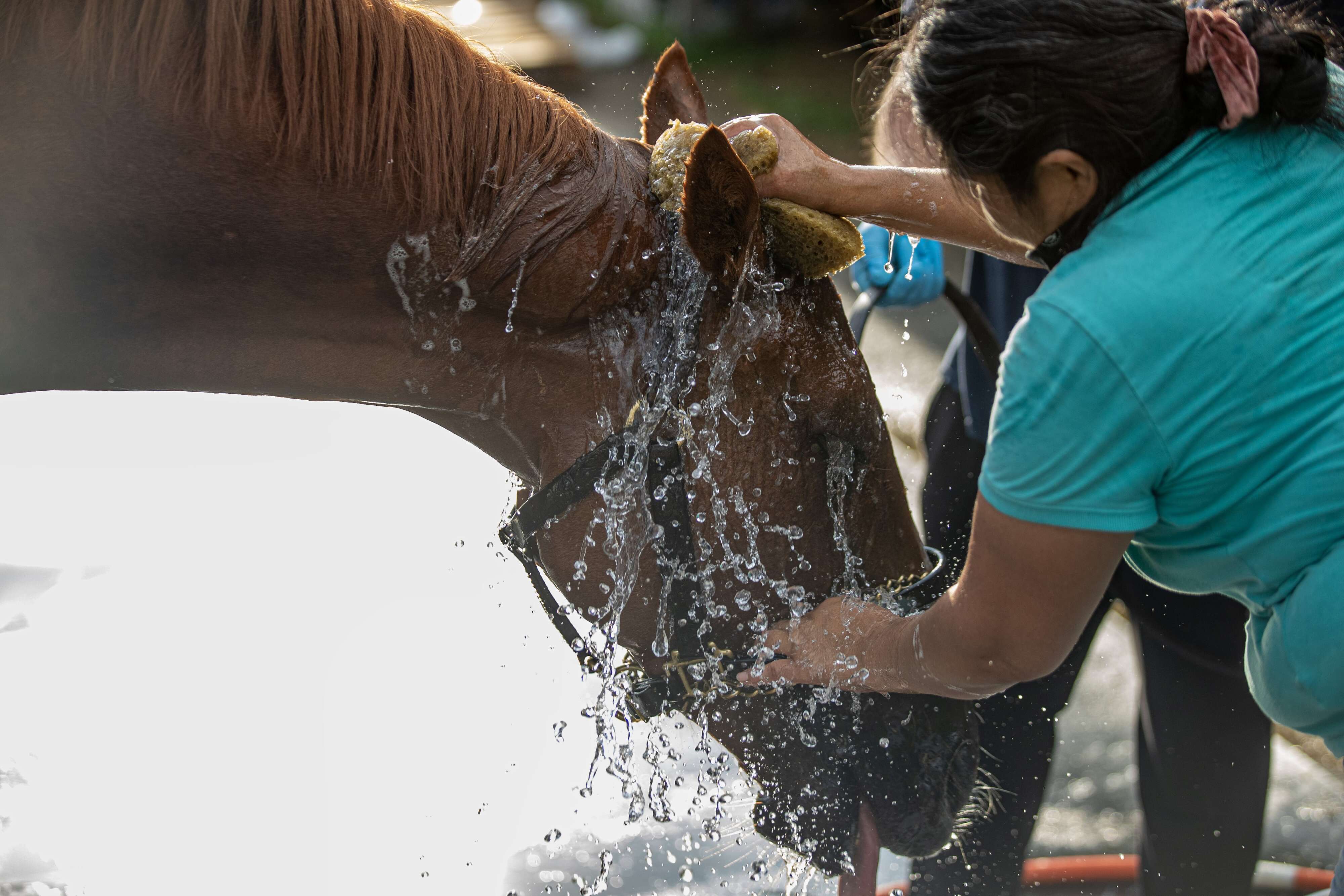 NJ track cancels horse racing with extreme heat and humidity in forecast