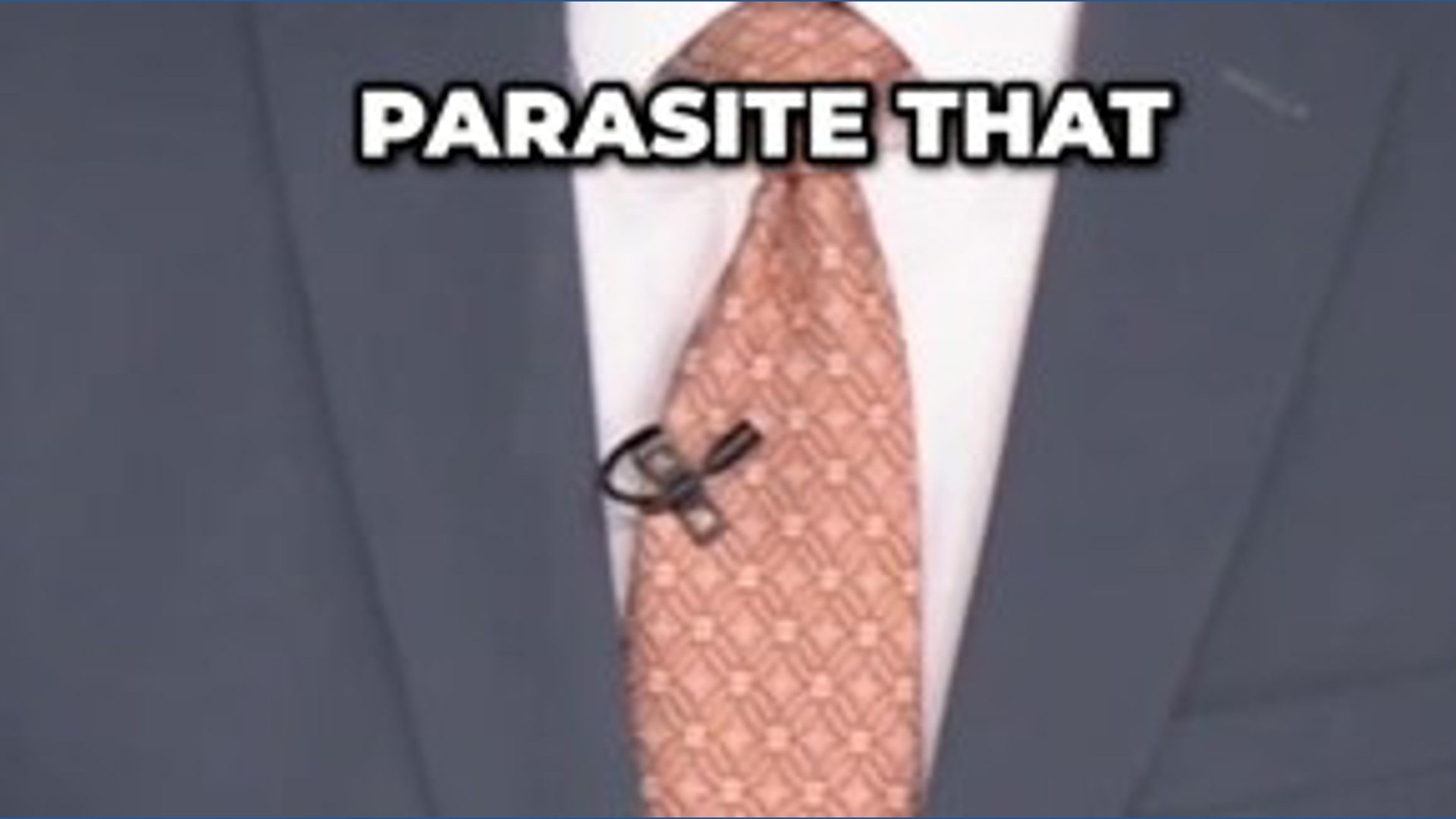 Rare fox tapeworm detected in the Pacific Northwest can spread to ...