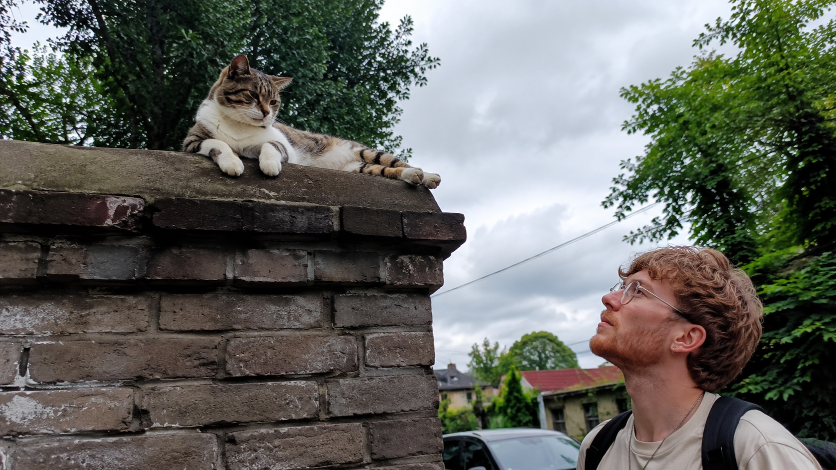 Are we raising cats, or are they domesticating us?