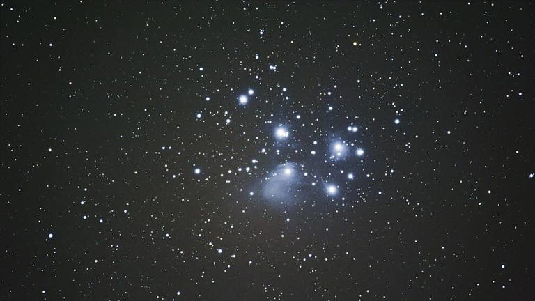 The 5 types of aliens people most frequently say they see