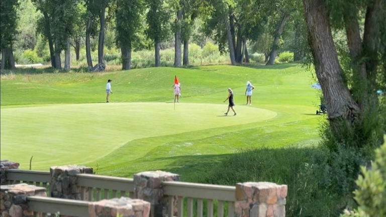 Colorado golfers describe close call after lightning strike at Fox ...