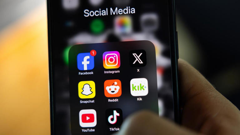 ‘Explain’: Fury at stalled social media laws