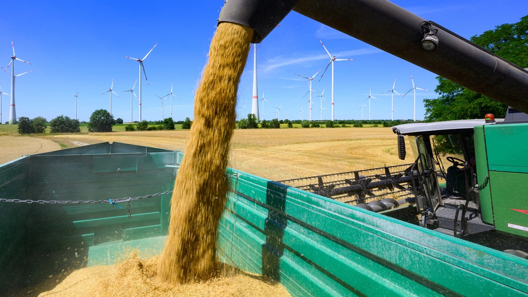 FAO projects 2026 cereal output drop after record harvest