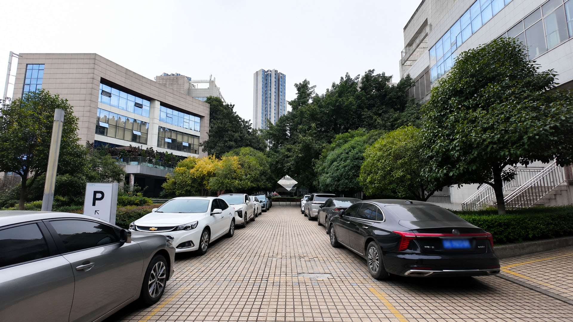 Tree Lined Business Campuses Reflect Chinas Modern Approach To Urban ...