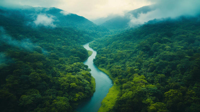 Why do rivers change their course? Fascinating facts you should know