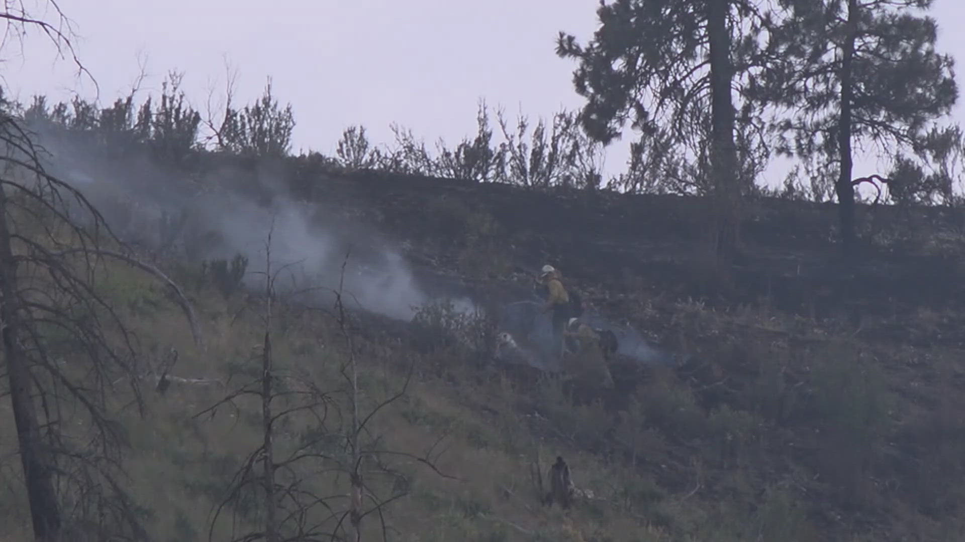 Crews make progress on wildfire near Lake Chelan