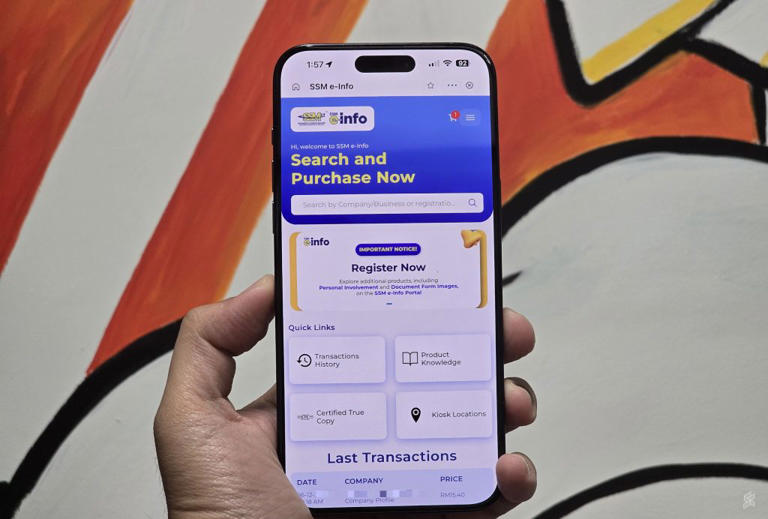 TNG eWallet now lets you search SSM company records and download ...