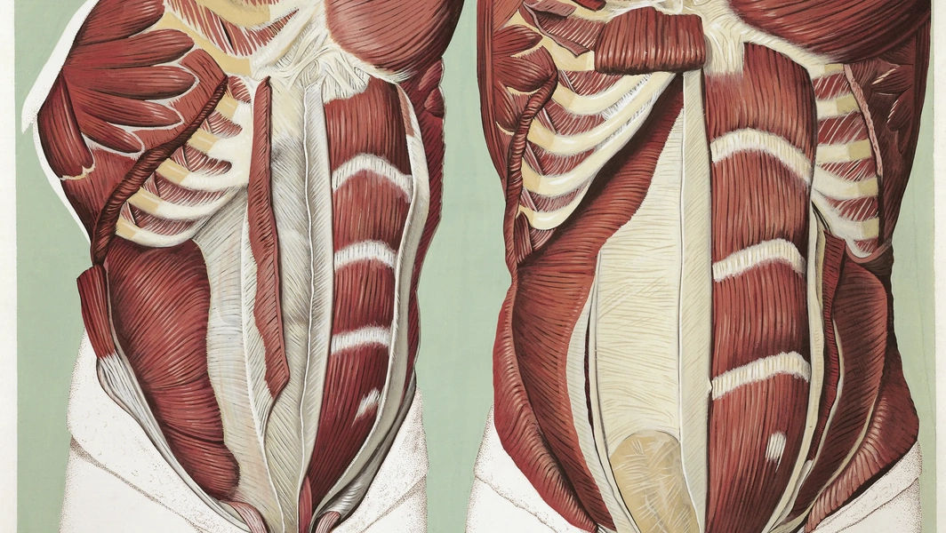 Core training moves that actually work