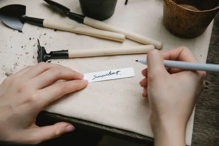 6 surprising household items you can upcycle into free plant markers