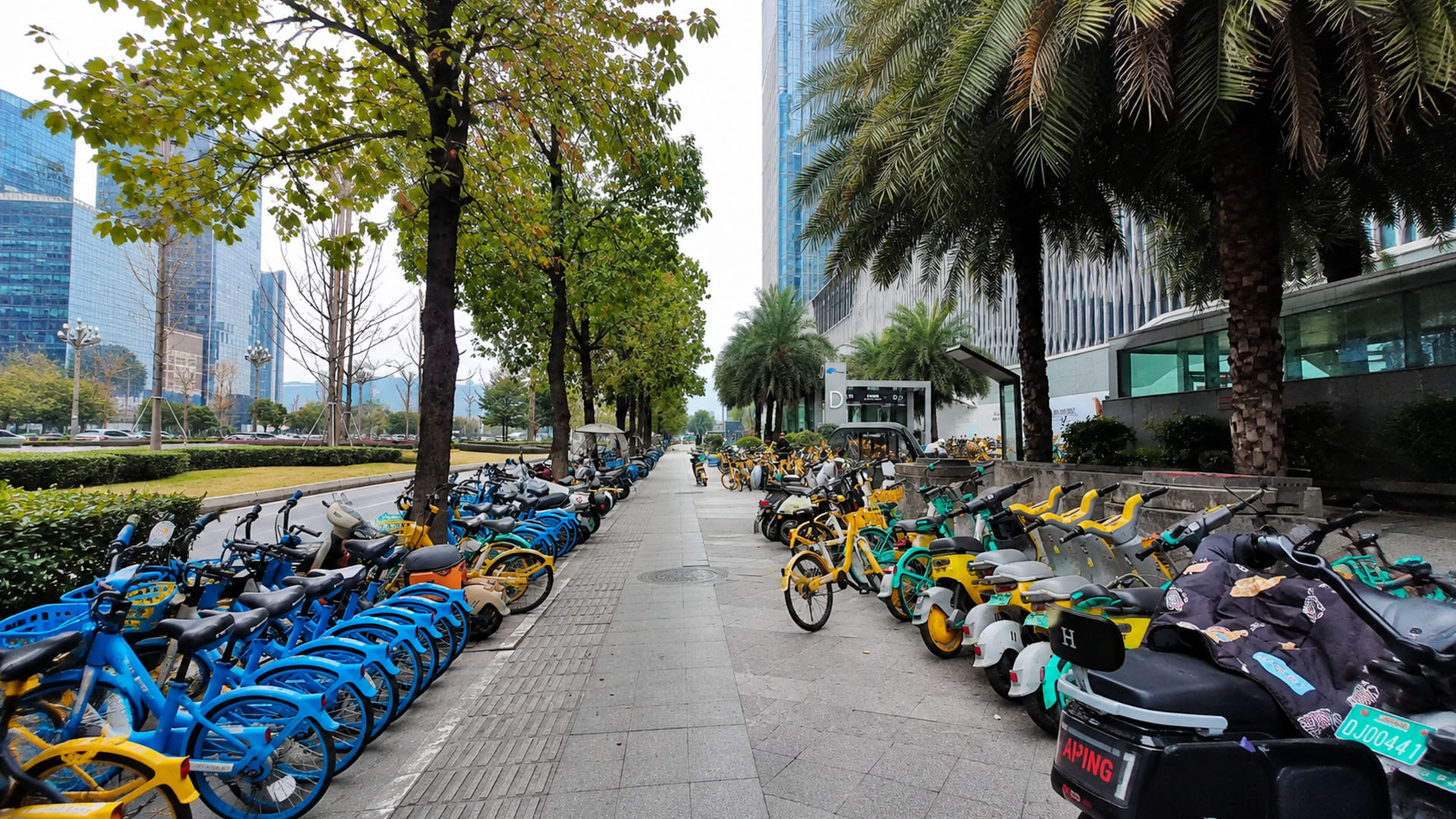 Shared Electric Bikes Transform Chinas Urban Sidewalks Into Efficient ...