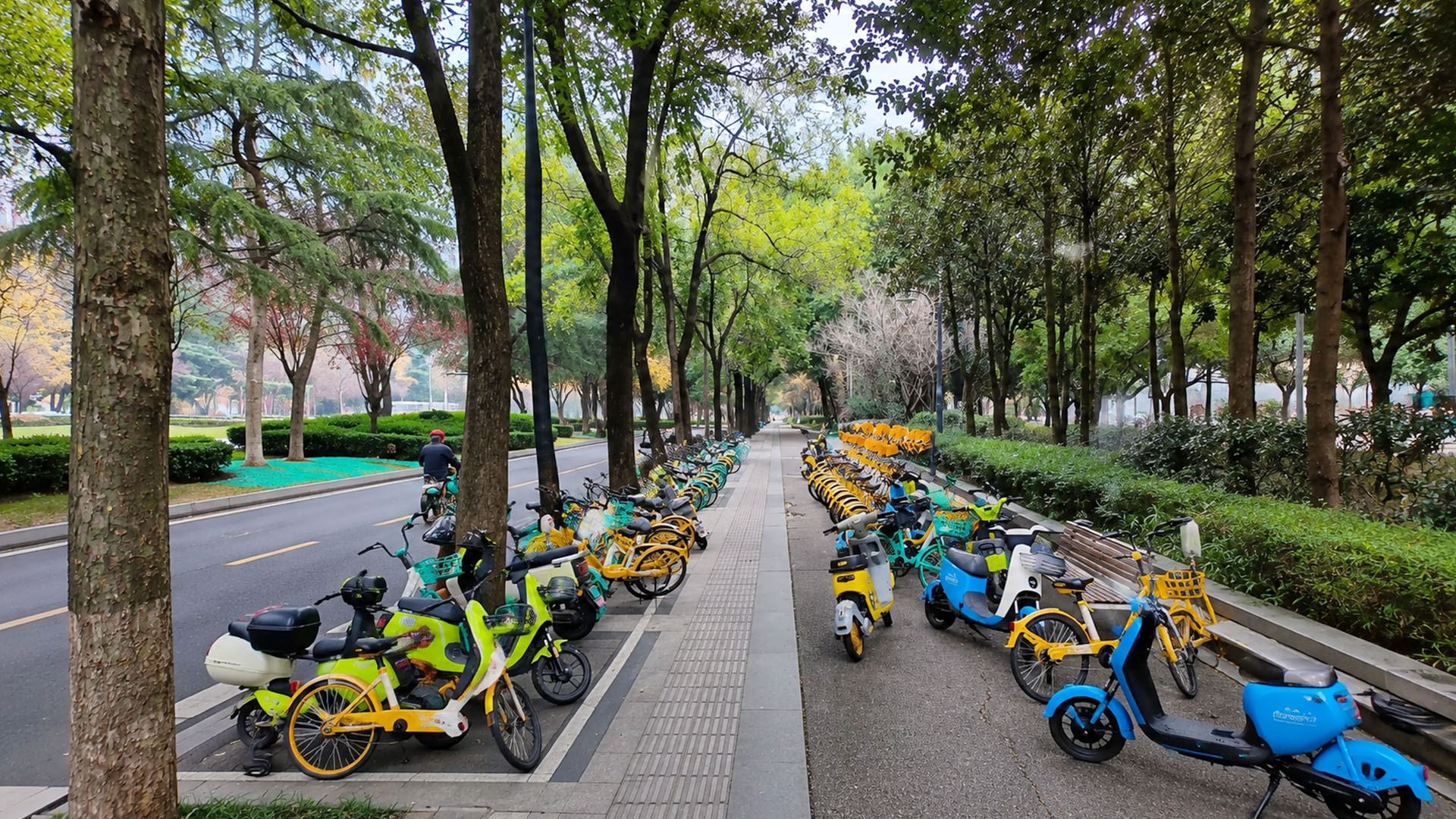 A Walk Through Chinas Leafy Streets Reveals Everyday Smart Urban ...
