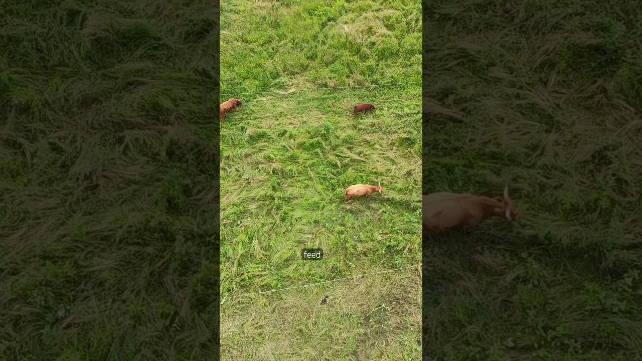 Find meaning in daily chores on a beautiful Vermont farm