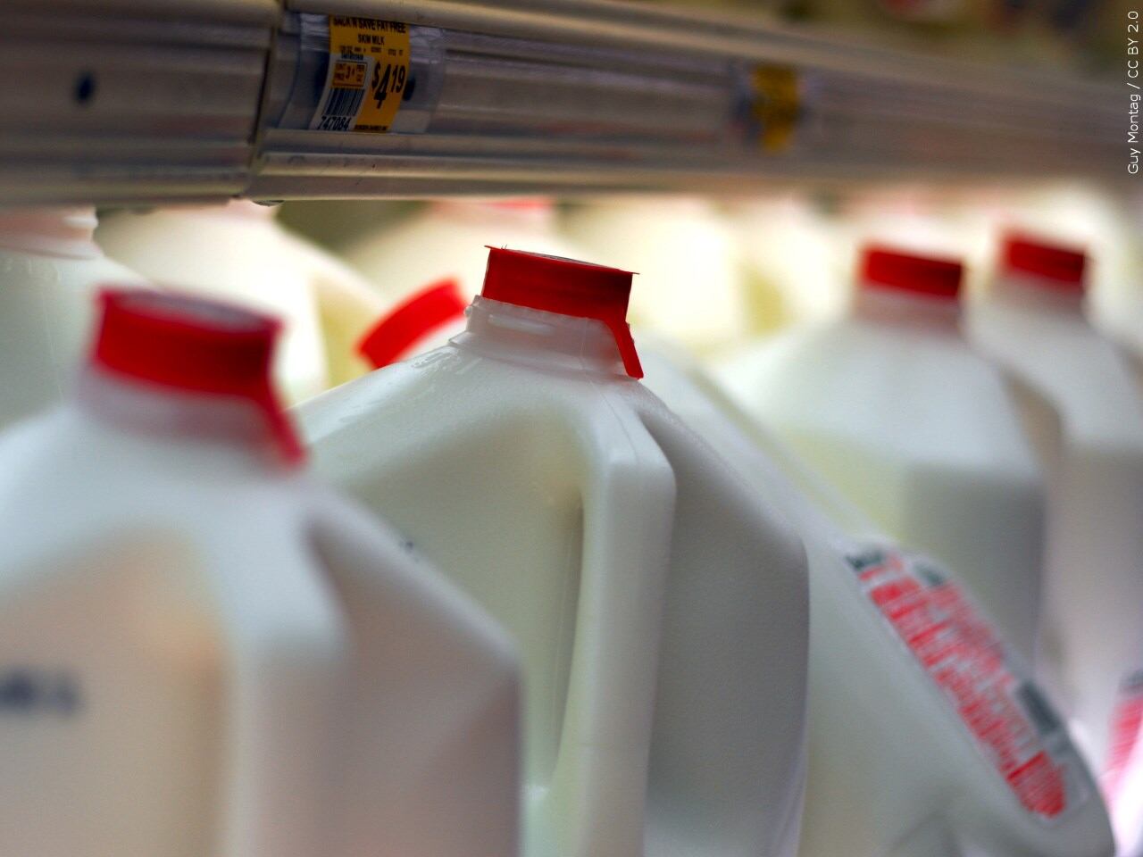 Great Michigan Milk Drive returns to Kroger stores statewide