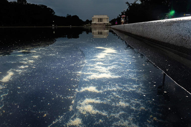 Grand jury indicts former Olympian in Trump DOJ’s Reflecting Pool ...