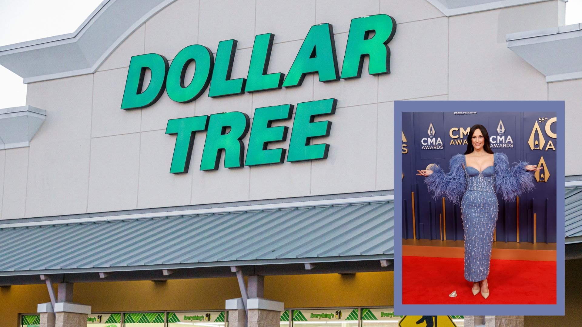 Country-chic Kacey Musgraves-inspired finds at Dollar Tree!
