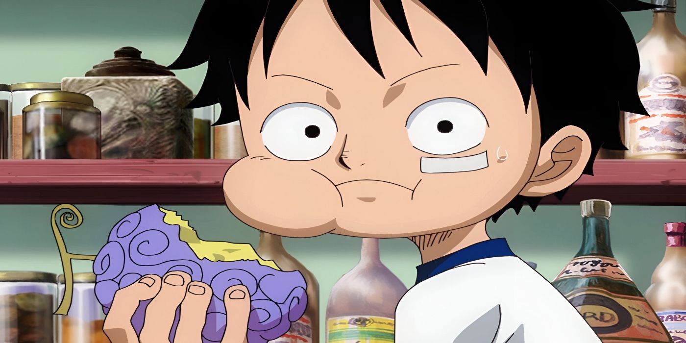 25 years later, One Piece's biggest Devil Fruit debate is finally settled
