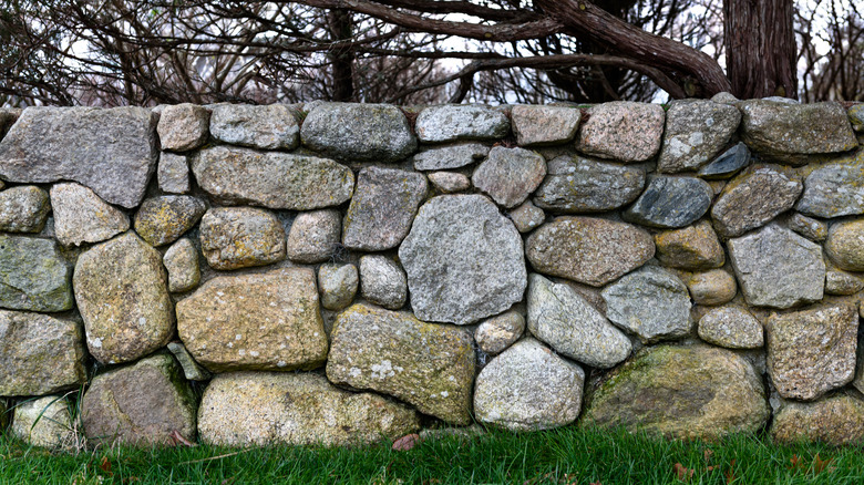 The 6 most expensive types of fence materials (& are they worth the price?)
