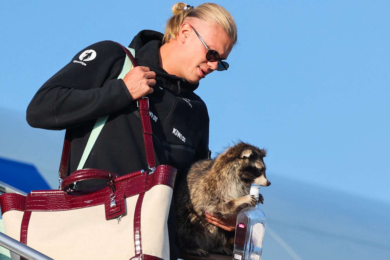 erling-haaland-brings-taxidermied-raccoon-back-to-norway-after-saying