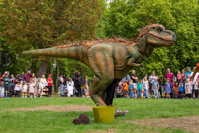 Summer arrives at Whiteley with a packed programme of free family ...