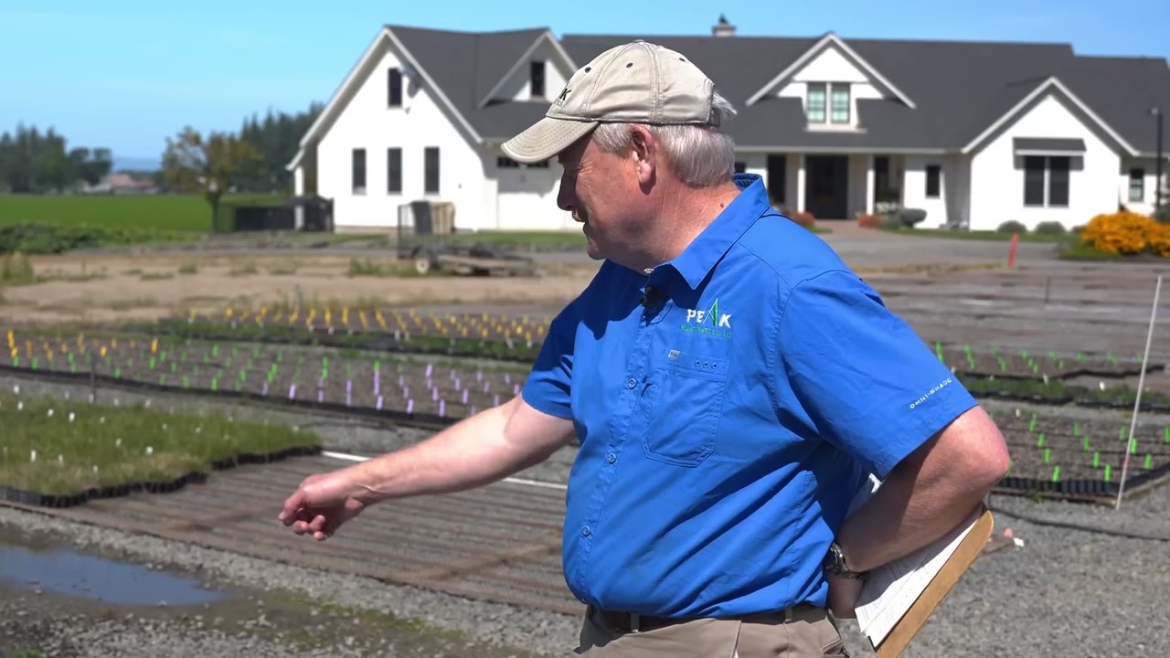 I asked homeowners where grass seed comes from... the answers were wild