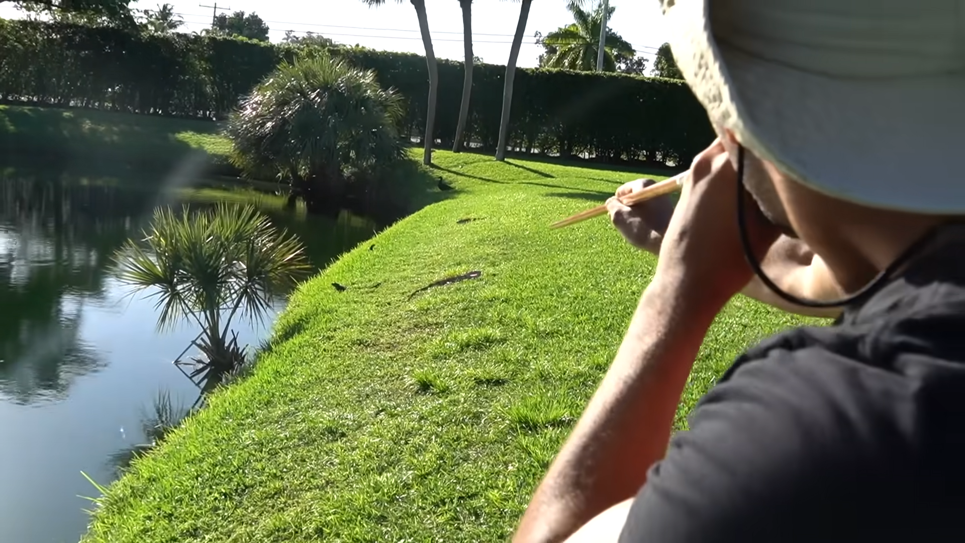 A real-life sicario for iguanas was caught on camera