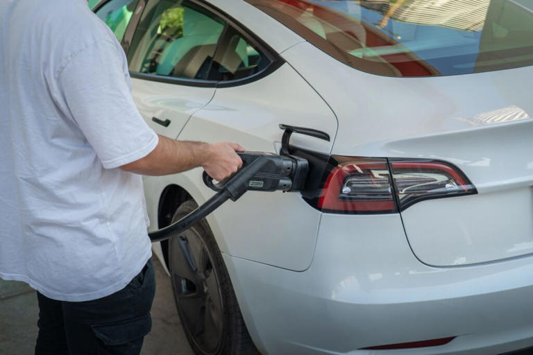 Olinia: Mexico's bold leap into electric vehicle production