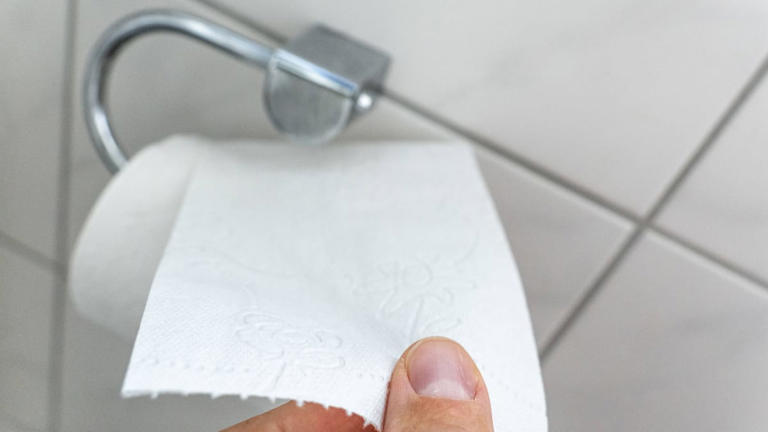 Klo Verstopft Durch Klopapier