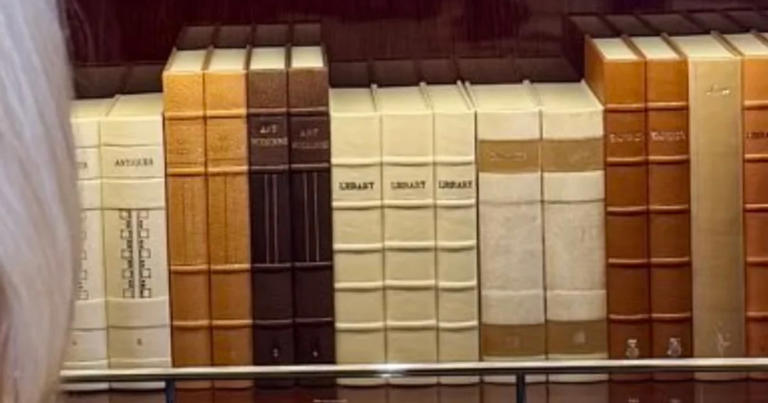 Trump's new Air Force One has a library full of fake books