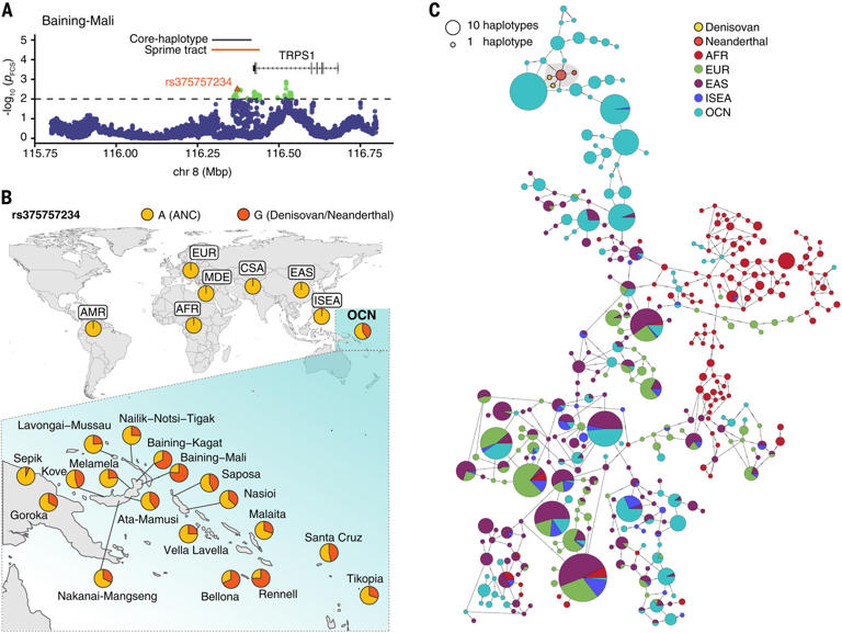 Ancient DNA in Oceania reveals hidden human evolution and health insights
