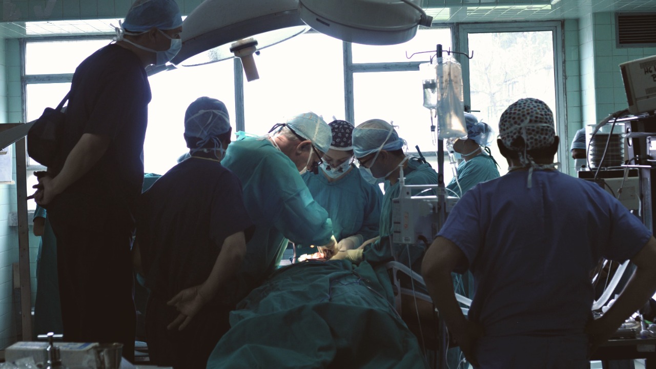 The first US trials of gene-edited pig kidneys in patients are set to begin