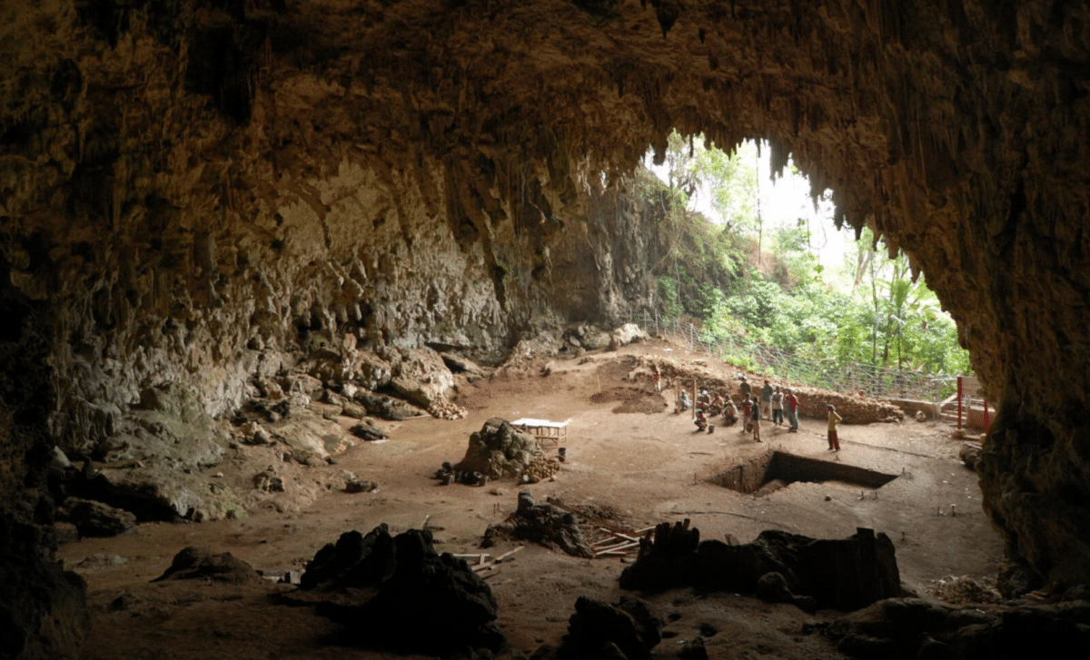 Ancient hobbit humans may have lived off predator leftovers, new ...