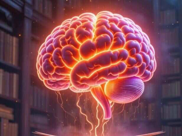 What happens inside your brain every day? Scientists reveal the strange ...
