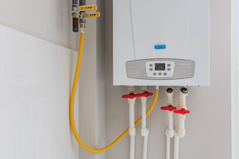 Most tankless water heaters need this annual cleaning—few homeowners do it