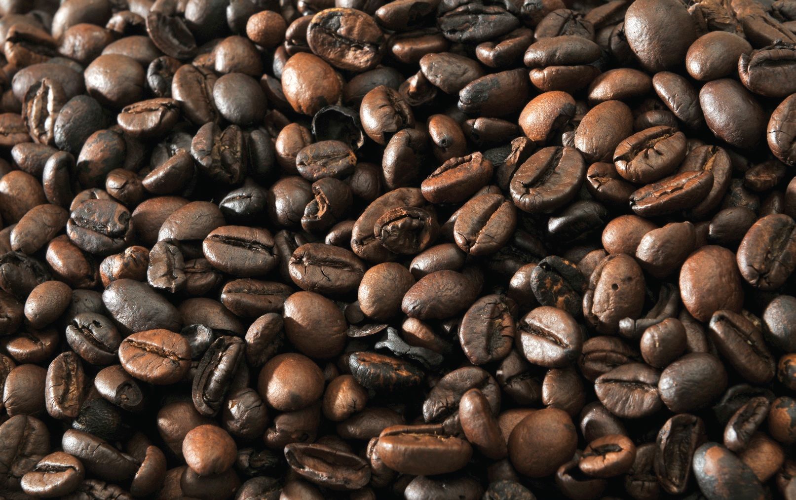 Sejarah kopi Indonesia, dari Ethiopia lalu Jazirah Arab, lalu India ...