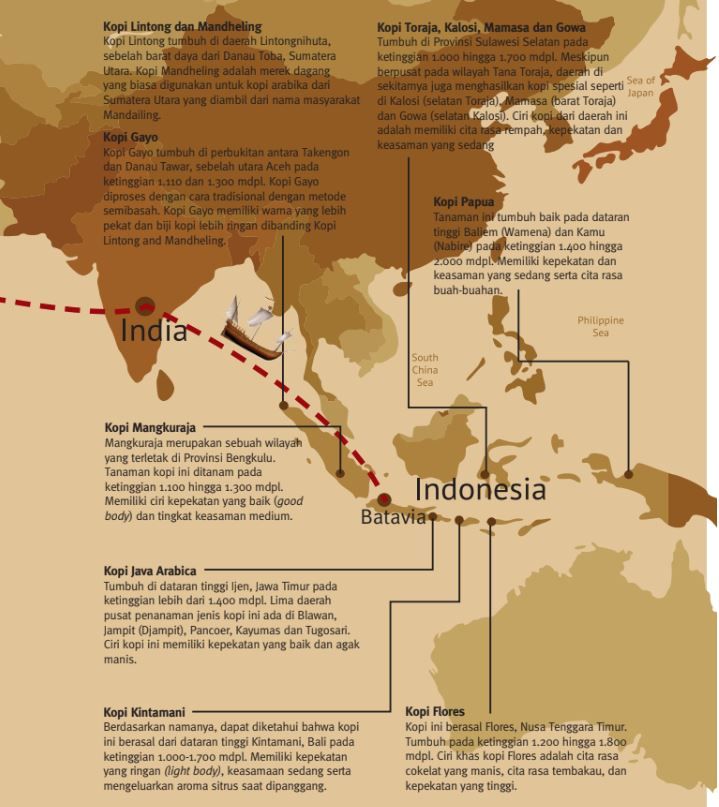 Sejarah kopi Indonesia, dari Ethiopia lalu Jazirah Arab, lalu India ...