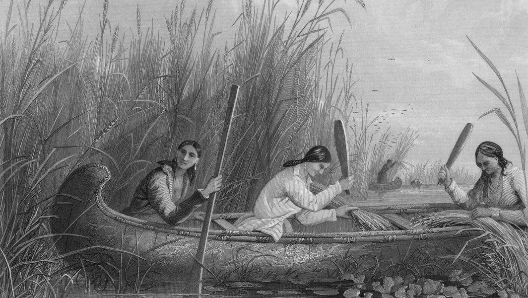 4 traditional pre-colonial Native American foods