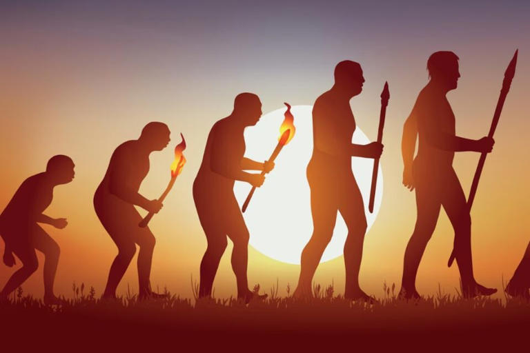 Has human evolution really stopped? The unexpected truth will blow your ...