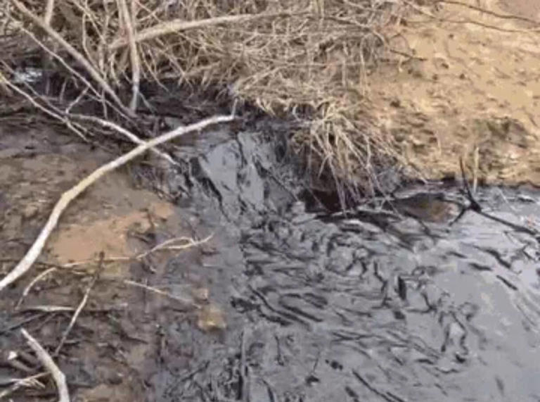 Oil Leak