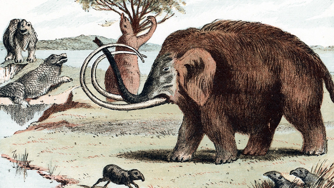 Genetic science and de-extinction efforts