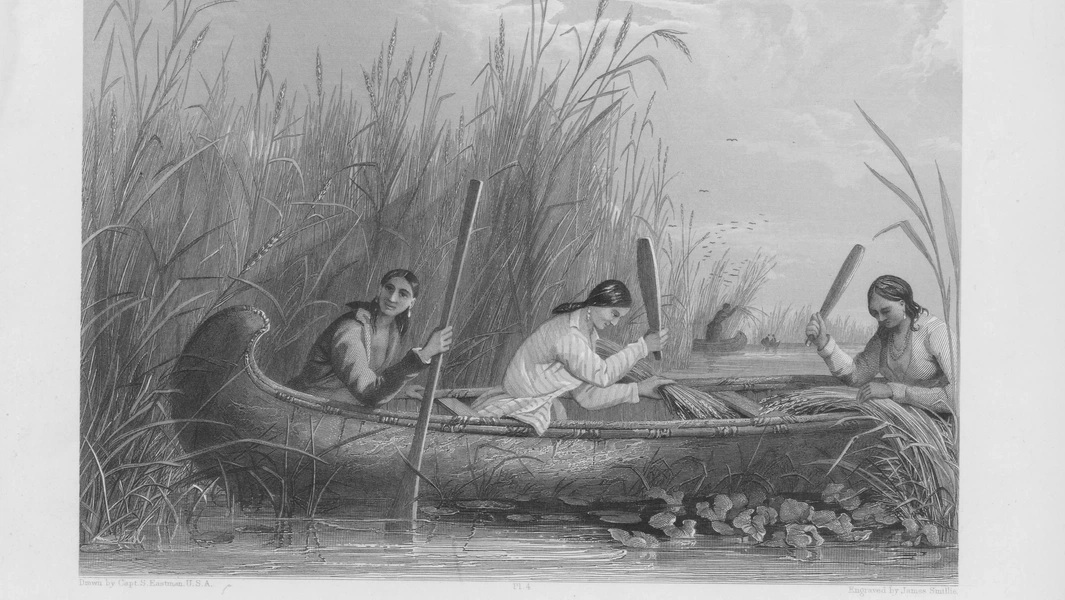 4 traditional pre-colonial Native American foods