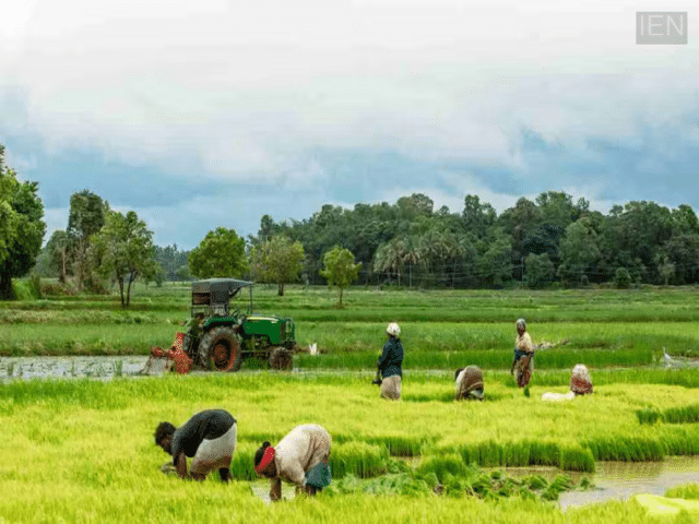 Farmer insurance: Get up to ₹2 lakh in compensation for farming-related ...