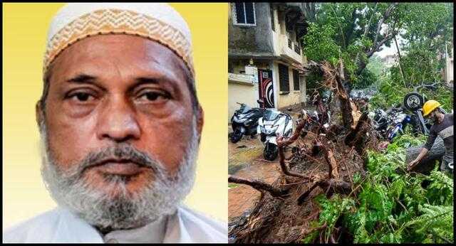 Mumbai rains: Man dies after tree falls on him, mayor advises caution ...