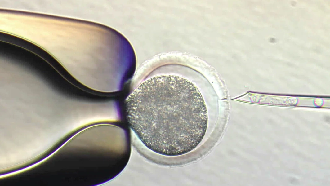 Genetic science and de-extinction efforts