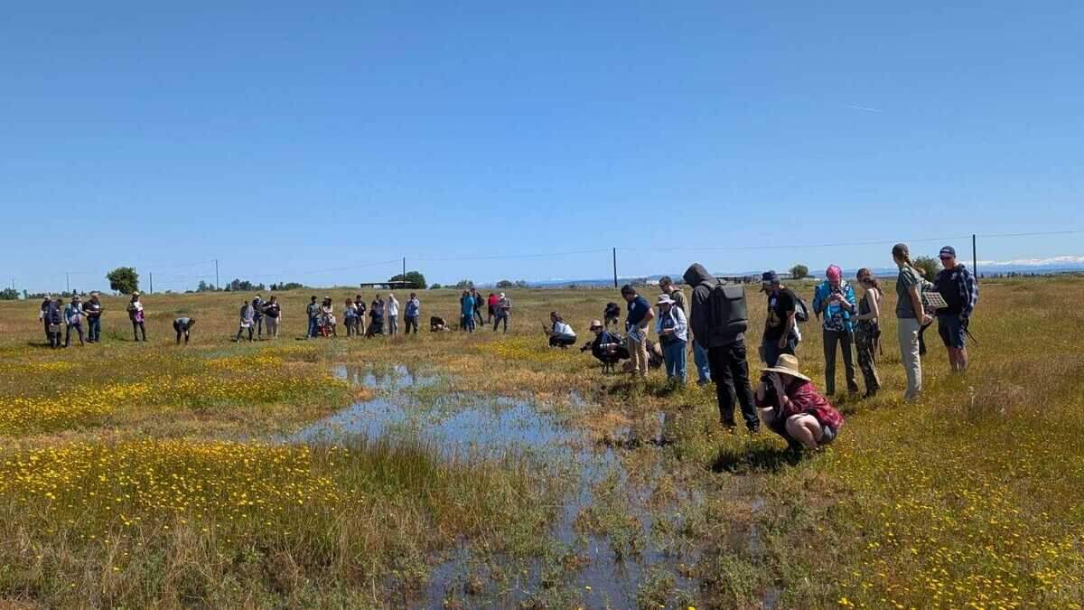 How Splash helps Sacramento-area students explore science, nature ...