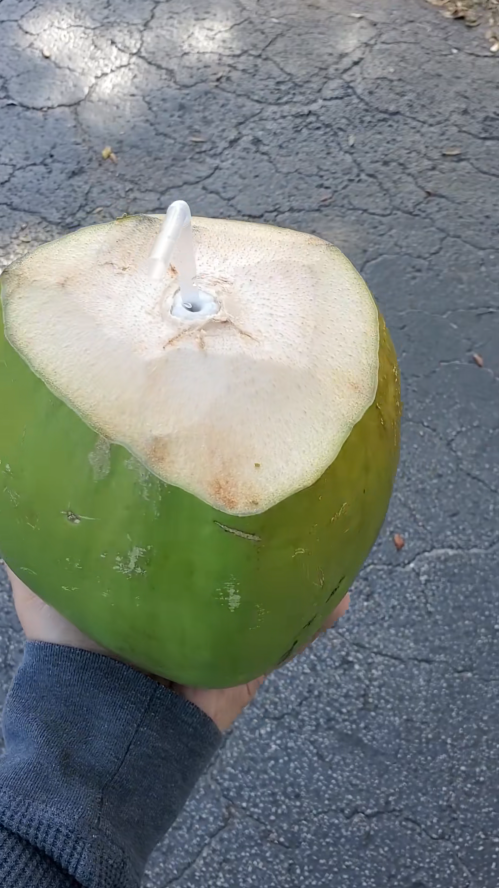 What Makes Coconut Water So Good In The Heat