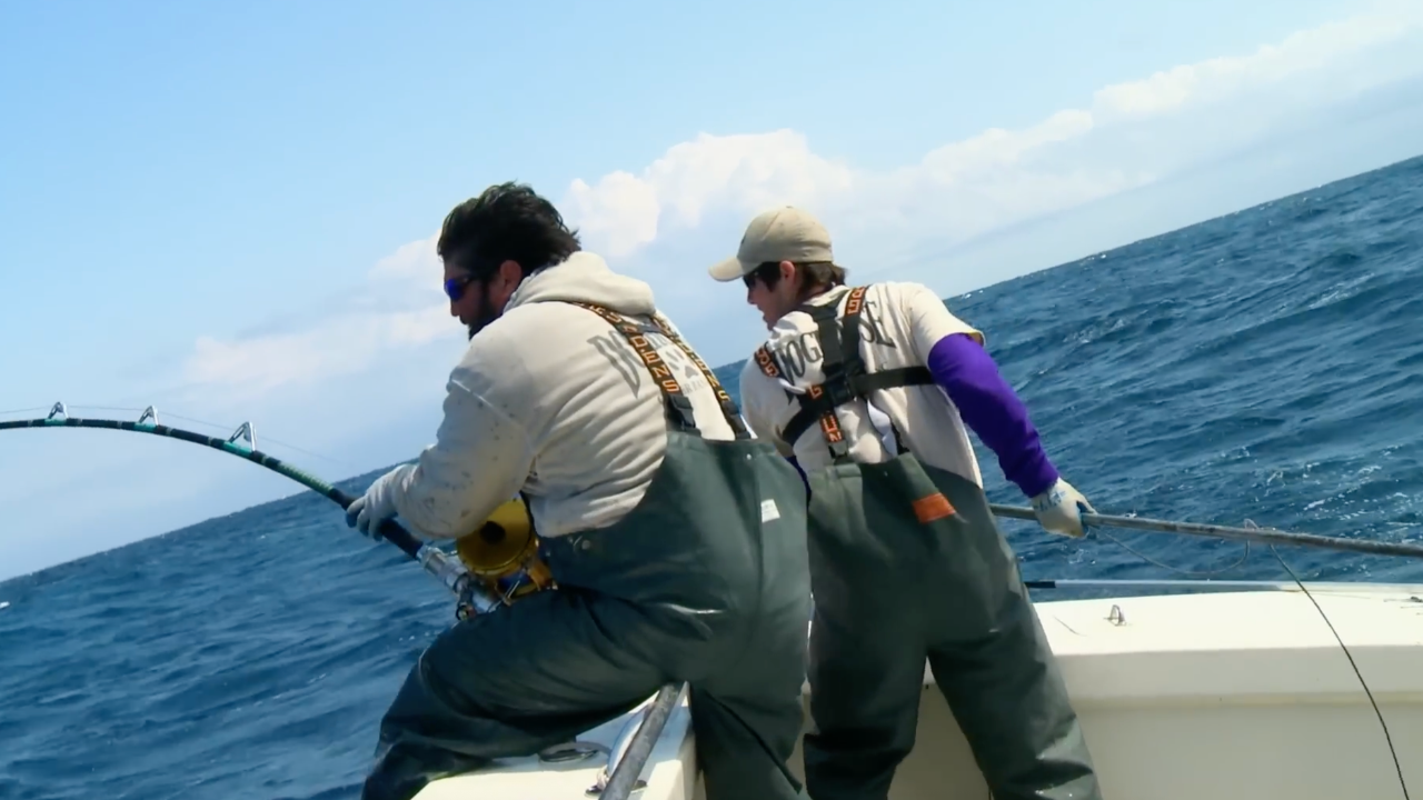 Dave steps in to help Griff and Britton land their tuna on 'Wicked Tuna'