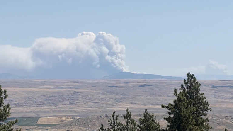 WA air quality map: Wildfire smoke forecast and updates across the state