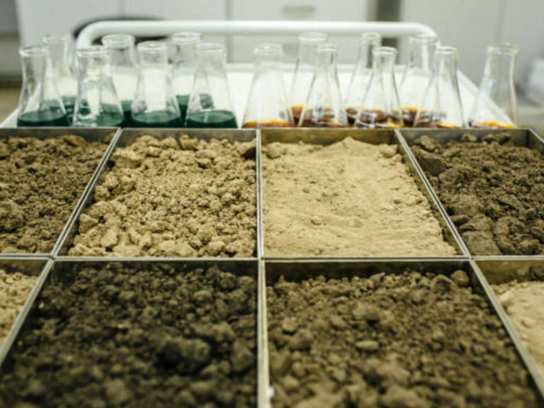Dr Reddy's Foundation soil testing lab set to hit 1-lakh sample mark ...